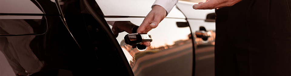 CURSO CONDUCTOR PROFESIONAL - Cursos Online | Euroinnova